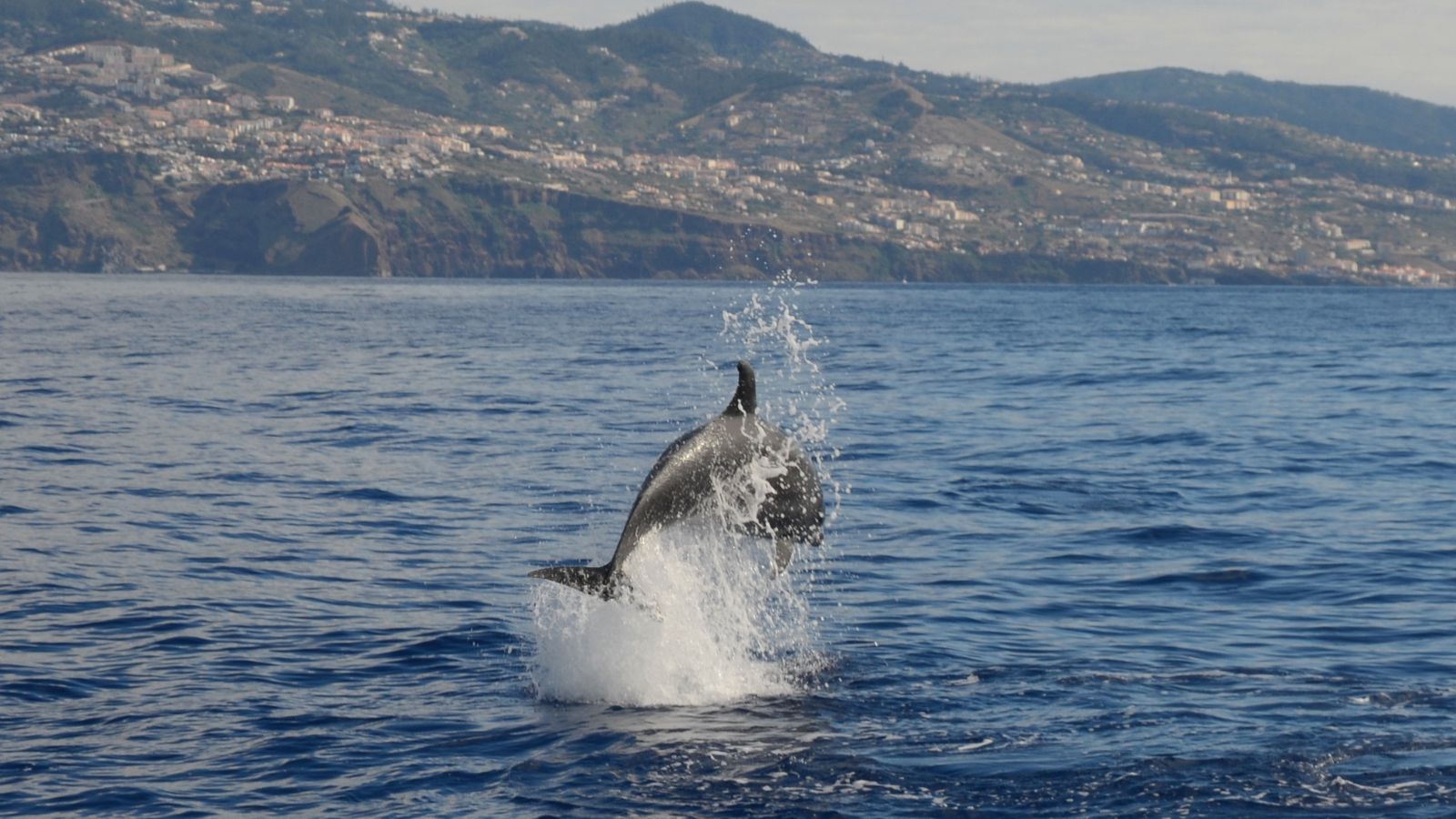 25 Things to Do on Madeira Island
